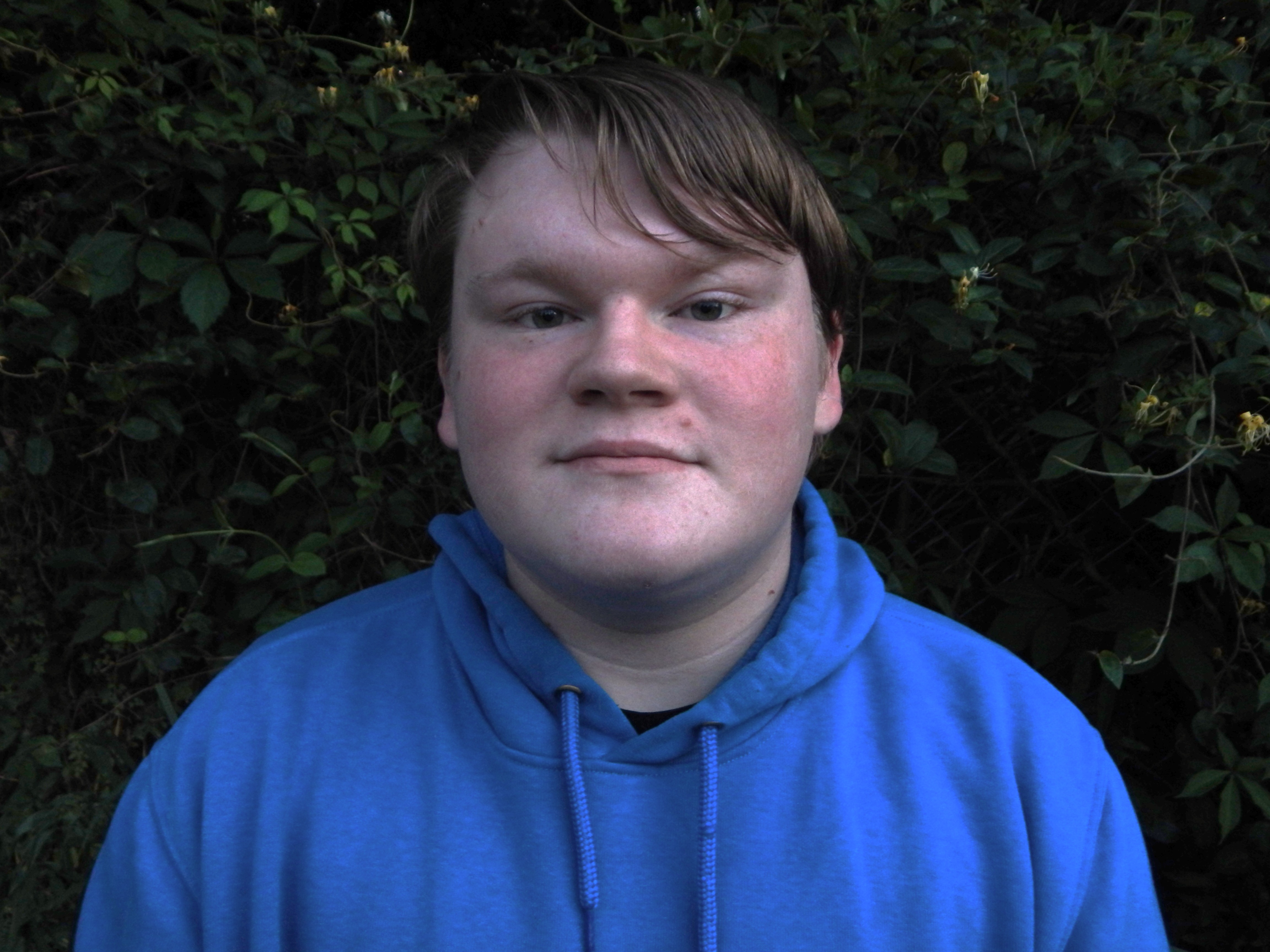 Web Development and Network Administration Student | David Neff